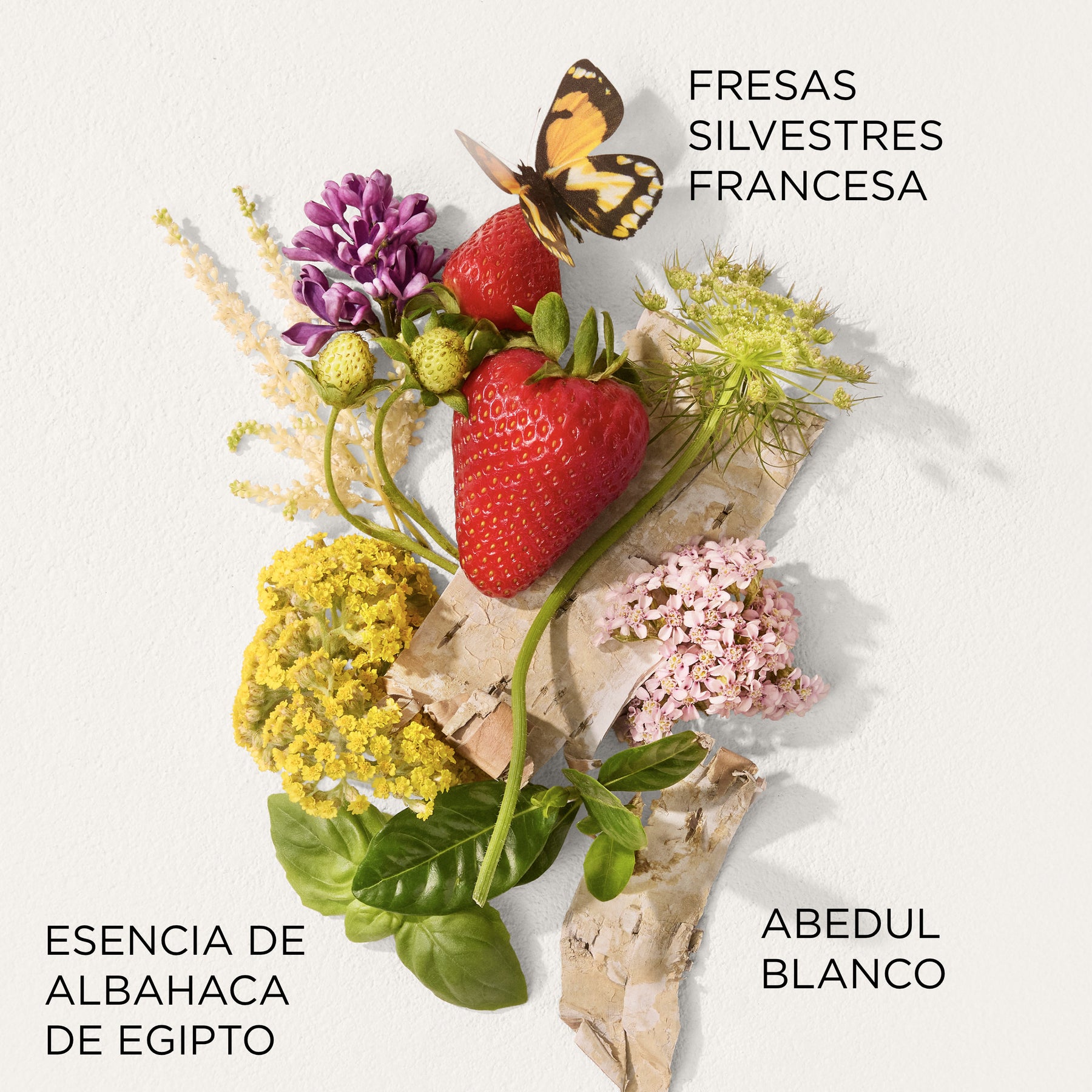 Green Tea Strawberry & Basil Eau de Toilette | Elizabeth Arden ...